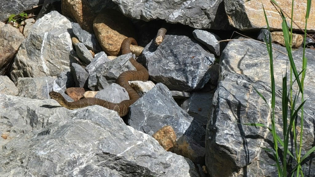 Claytor Nature Center - LYH – Lynchburg Tourism