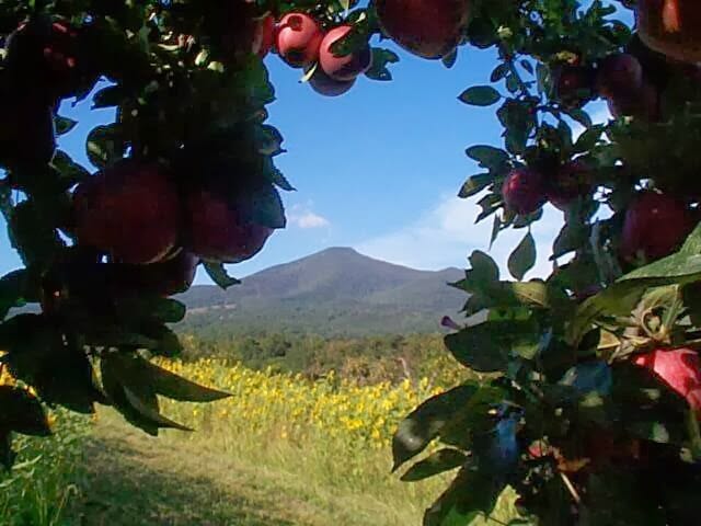 Johnson's Orchard - LYH – Lynchburg Tourism