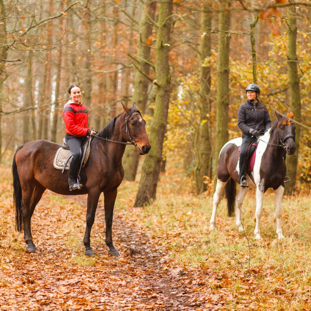 Fall Foliage Trail Ride - LYH – Lynchburg Tourism